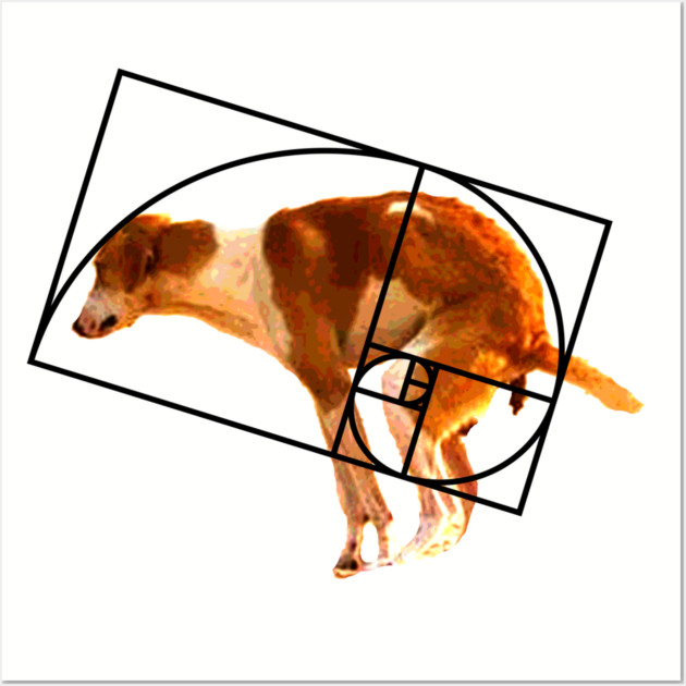 fibonacci animal