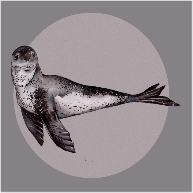 leopard seal drawing step by step