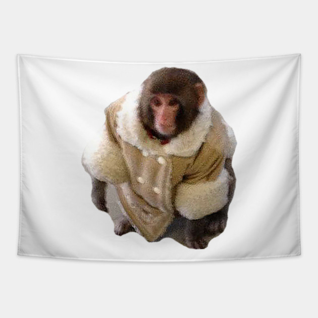 ikea monkey in coat