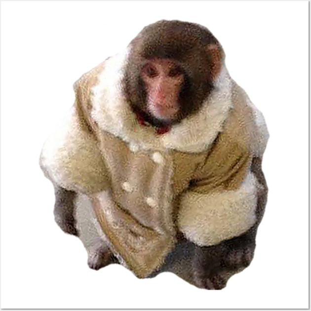 ikea monkey toronto