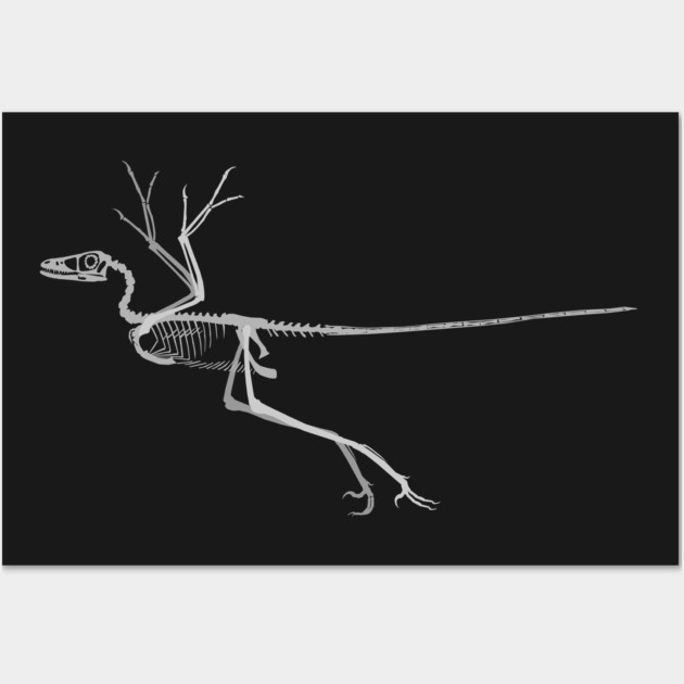 microraptor gui skeleton