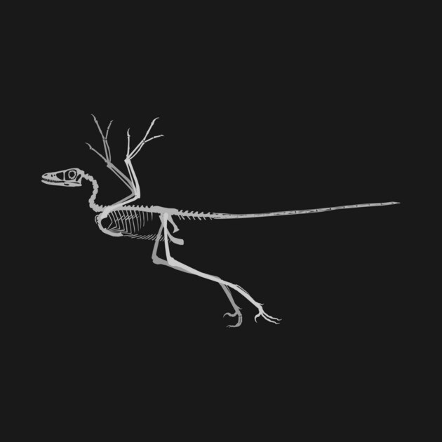 microraptor gui skeleton