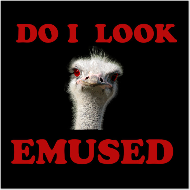 funny ostrich