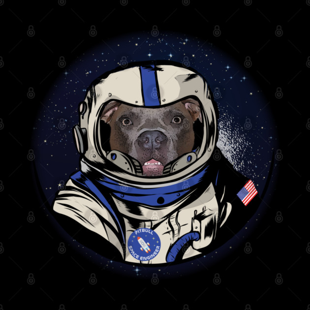 planet pitbull