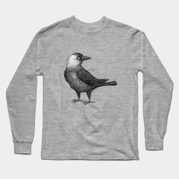 jackdaw shirts