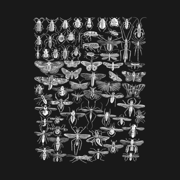Vintage Insect Collection: A Timeless Design - Insect - T-Shirt | TeePublic