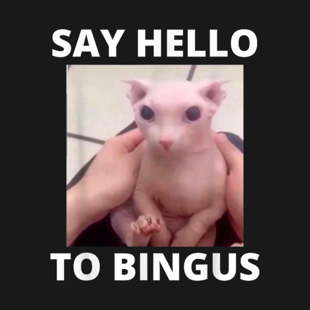 Say Hello To Bingus Cat & Meme Cute - Say Hello To Bingus Cat - T-Shirt ...