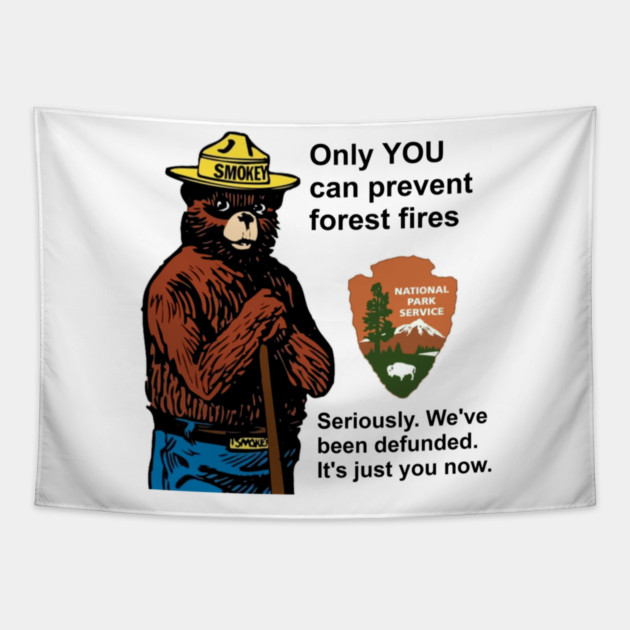 prevent forest fires