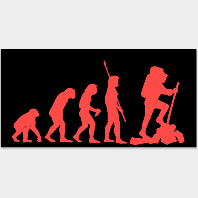 human evolution funny