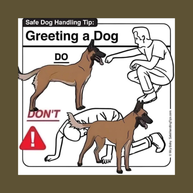 How to Greet a Dog Meme – Funny Dog Lover Guide - Meme - Shorts | TeePublic