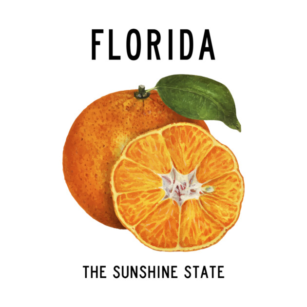 Florida Orange - Florida State - T-Shirt | TeePublic