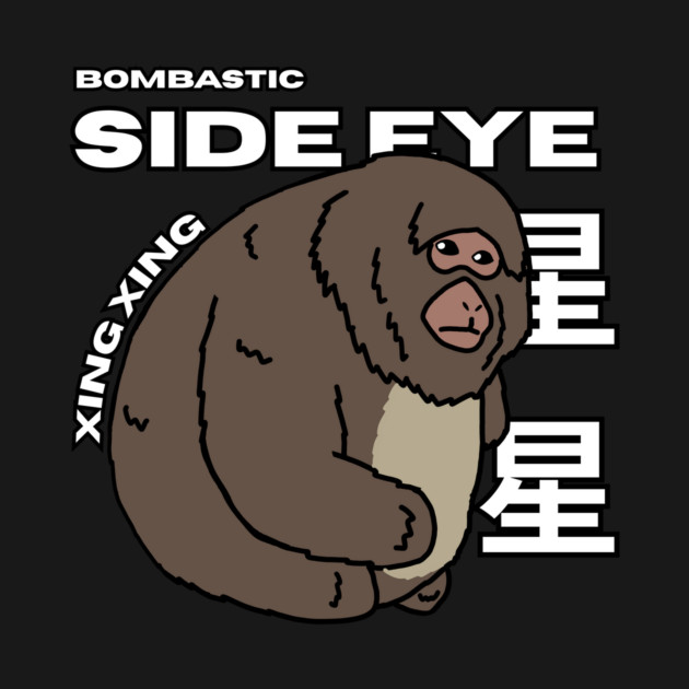 sideways eyes monkey