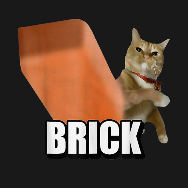 Funny Cat Throwing Brick - Funny Cat Throwing Brick - T-Shirt | TeePublic