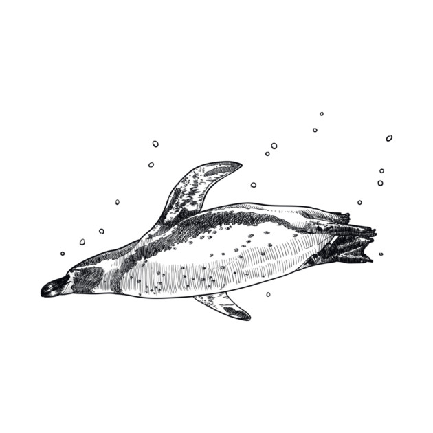 diving penguin drawing