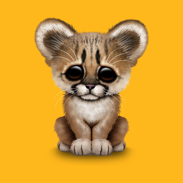 cougar cub clipart