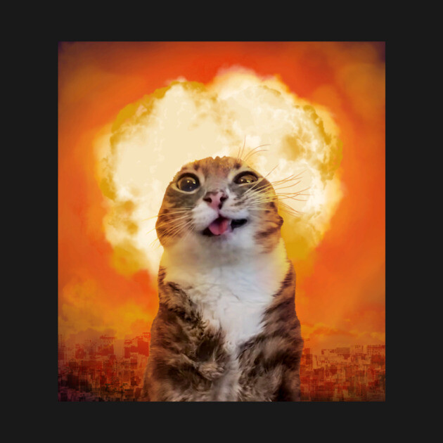 cat explosion