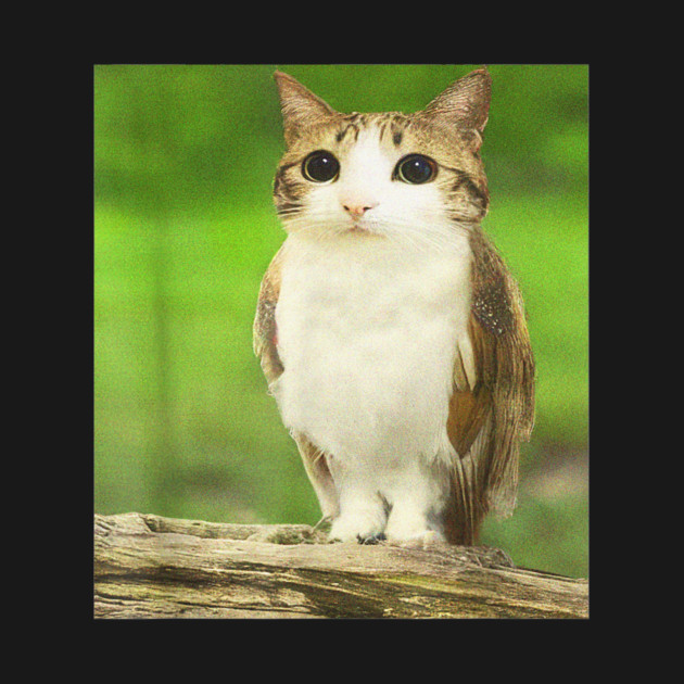 Meowl Cat Owl Meme Funny Animal Hybrid - Meowl Cat - T-Shirt | TeePublic