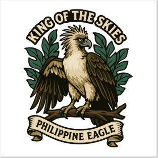 philippine eagle drawing poster