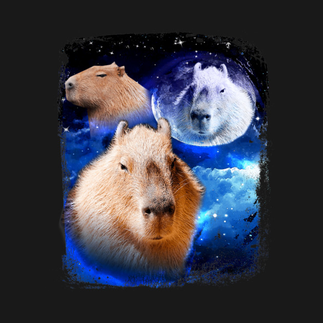 Meme moon Capybaras Kawaii - Capybara - T-Shirt | TeePublic