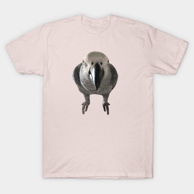 Coco Bird - Parrot - T-Shirt | TeePublic
