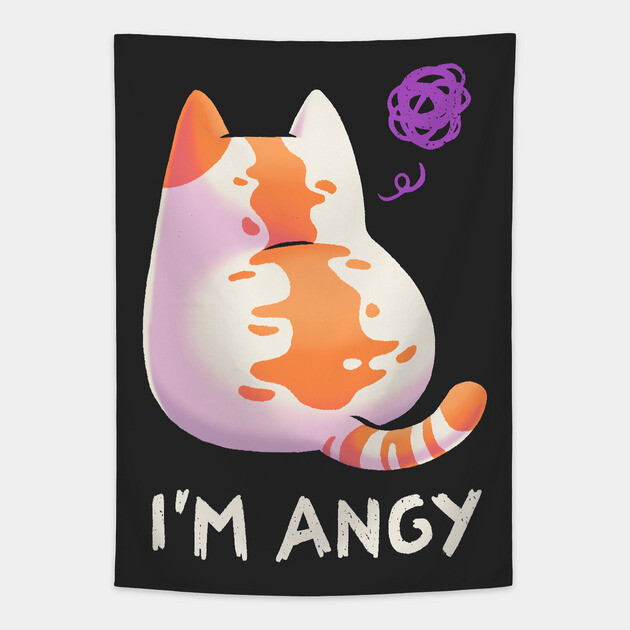 no angry cat