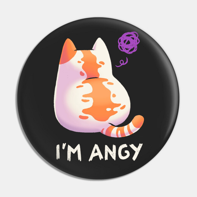 no angry cat