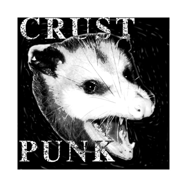 Crust Punk Opossum - Punk Rock - T-Shirt | TeePublic