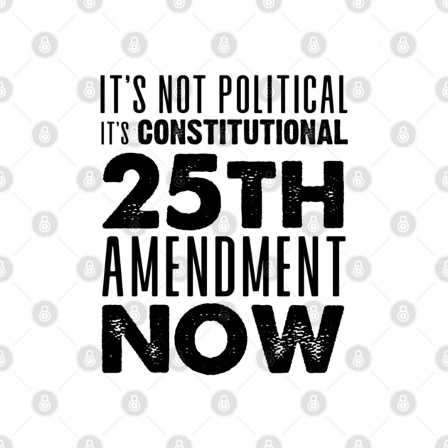 25th Amendment: For Love of the Republic - 25th Amendment - T-Shirt ...