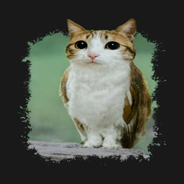 Cat Owl Meowl, Cursed Meme - Cursed Cat Owl - T-Shirt | TeePublic