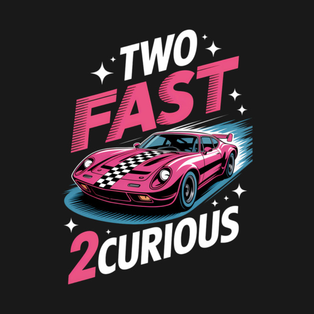 Girl Race Car Birthday Decorations Two Fast 2 Curious 2nd - Girl Race ...