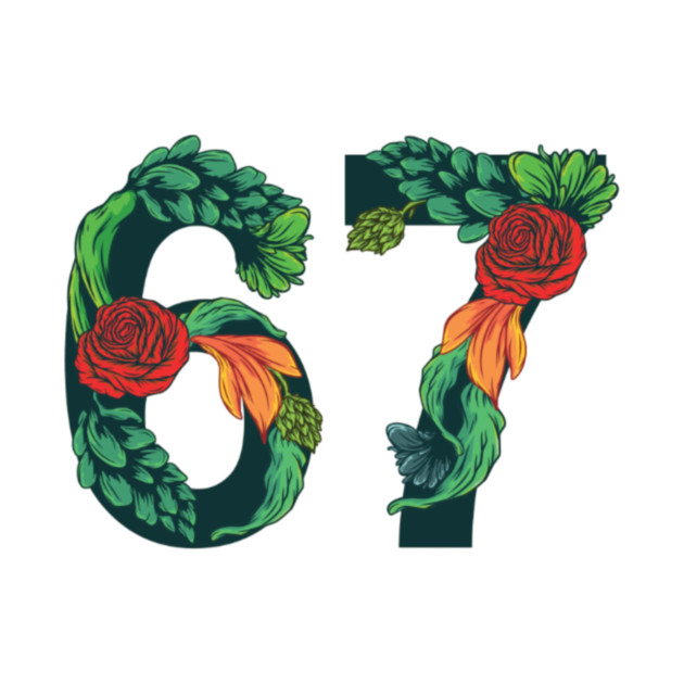 6 7 meme nature - 6 7 Six Seven Meme - T-Shirt | TeePublic