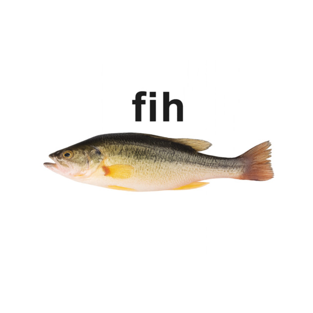 Fih Meme Misspelled Fish - Funny Fish Meme - T-Shirt | TeePublic