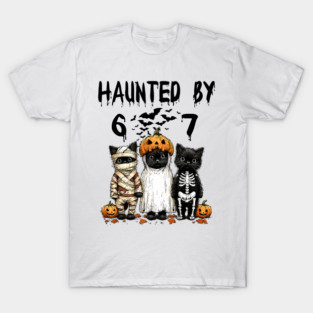 67 Meme Halloween Brainrot Costume T-Shirts for Sale | TeePublic