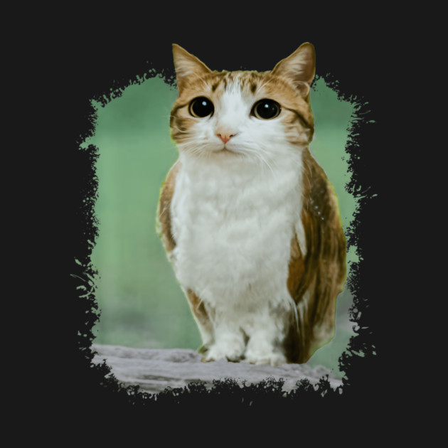 Cat Owl Meowl Cursed Internet - Funny Cat Meme - T-Shirt | TeePublic