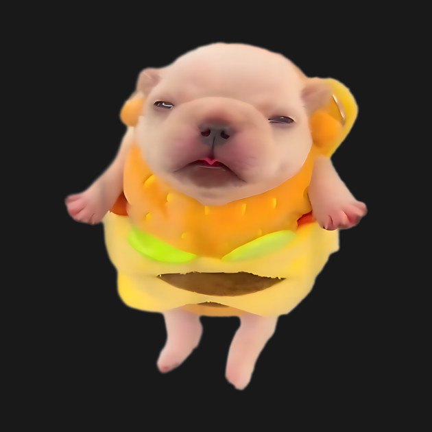 Funny Pibble Meme – Brainrot Meme, Wash My Belly - Pibble Meme - T ...