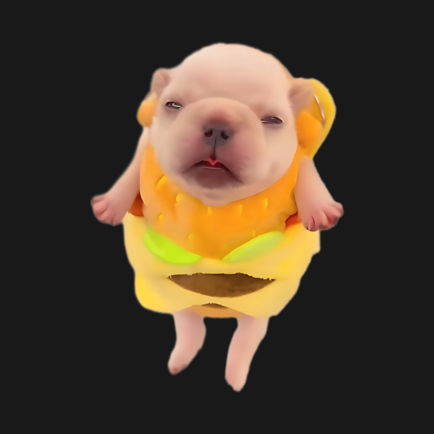 Pibble Brainrot Wash My Belly - Funny Dog Meme - T-Shirt | TeePublic