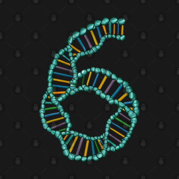 Couple 67 Number Meme Dna Replication Science Humor - Couple Number ...