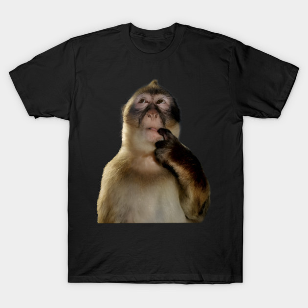 stupid monkey meme - Stupid Monkey Meme - T-Shirt | TeePublic