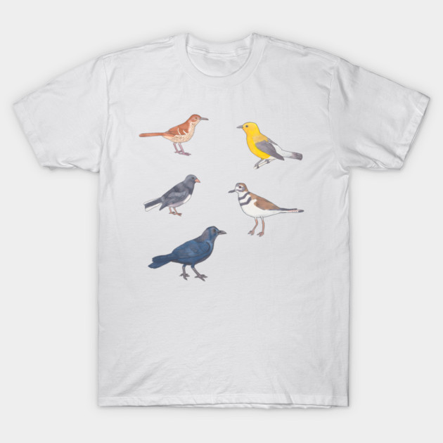 North American Bird Pack 1 - Wild Birds - T-Shirt | TeePublic