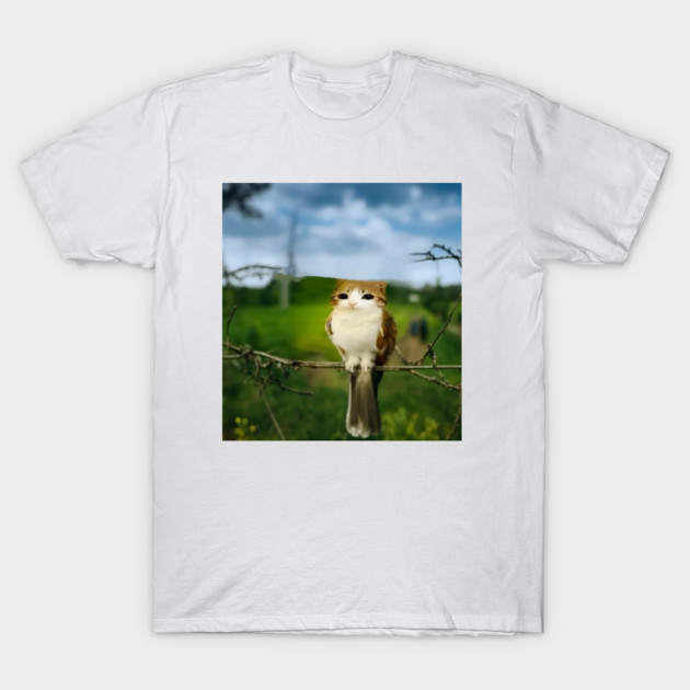 funny meowl cat meme, unisex Sweatshirt brainrot cat owl meme, i'm a ...