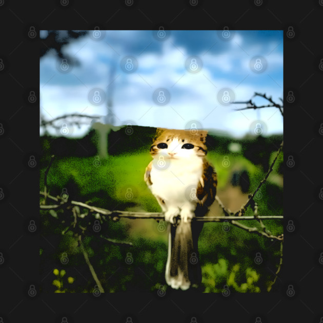 funny meowl cat meme, unisex Sweatshirt brainrot cat owl meme, i'm a ...