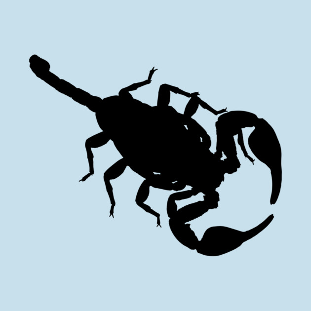 scorpion outline