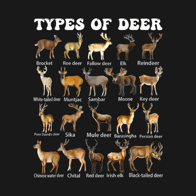 Deer Hunting Shirt For Funny Deer Hunter Types Of Deer - Deer Hunting ...