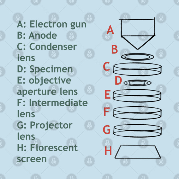 Transmission Electron Microscope Diagram With Labels - Science Gcse - T ...