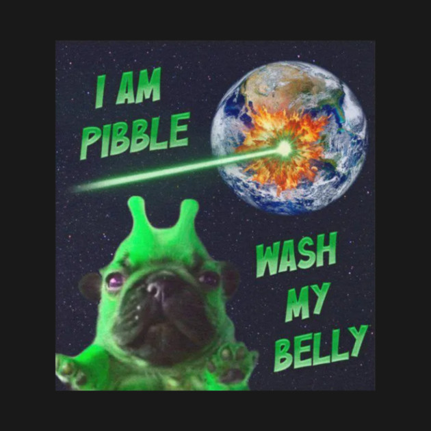 I Am Pibble Funny Tee, Geeble Alien Dog Brainrot - Brainrot Meme - T ...