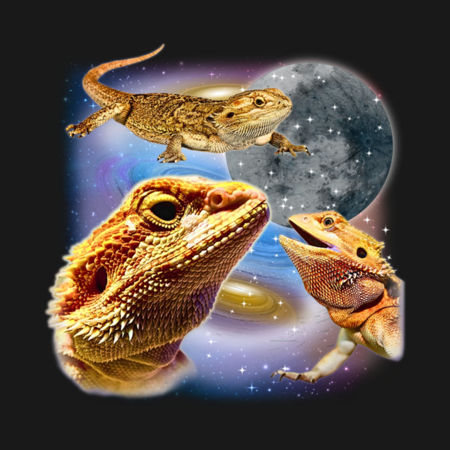 Three Bearded Dragon At The Moon, Three Lizard Howling Moon - Three ...