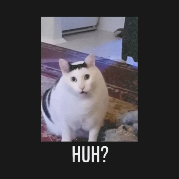 Confused Cat Huh Meme Fat Cat Huh Tiktok - Huh Cat - T-Shirt | TeePublic