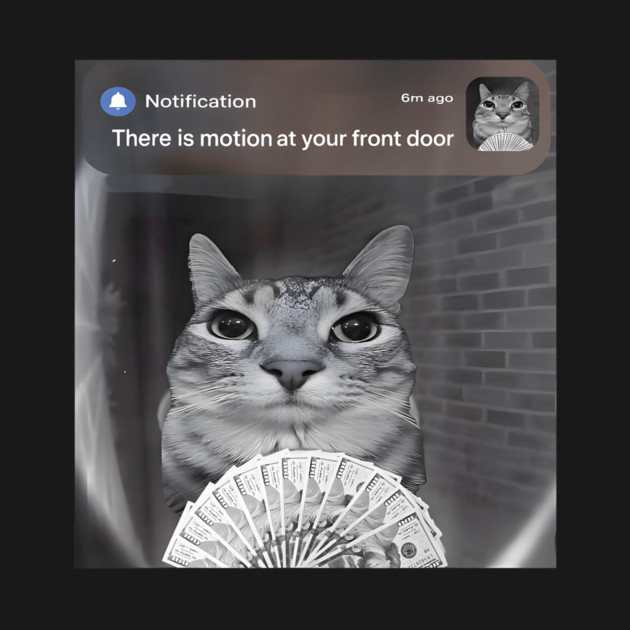 There Is Motion At Your Front Door Cat Motion - Funny Cat Meme - T ...