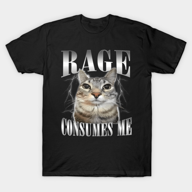 Rage Consumes Me Cat Oddly Specific Cat - Funny Cat Meme - T-Shirt ...