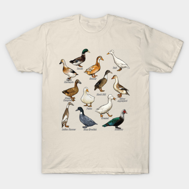 Duck Breeds Chart Indian Runner Pekin Muscovy Farmer - Duck - T-Shirt ...
